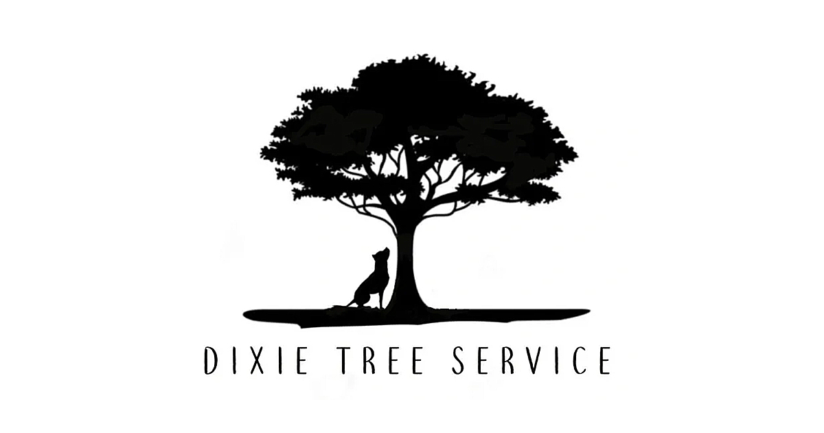 Expert Tree Services in Multiple Locations for You
