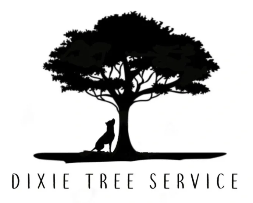 Expert Tree Service in Jupiter, FL – Dixie Tree Service